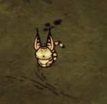 饥荒浣猫年小猫遗失找回方法 - 哔哩哔哩