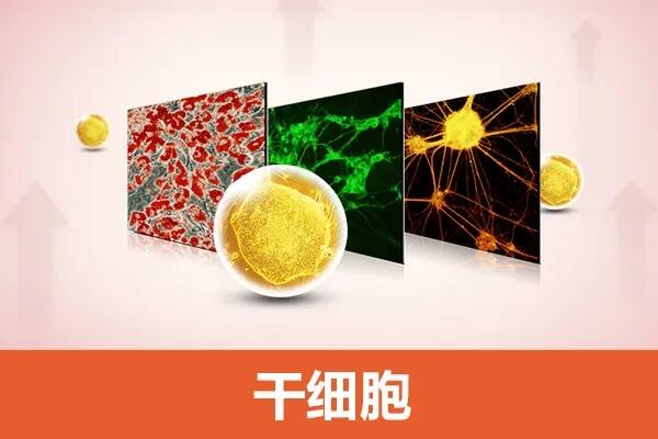 OriCell百款热销细胞产品，年终感恩进行时 - 哔哩哔哩