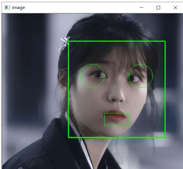 Python 人脸识别系统 哔哩哔哩