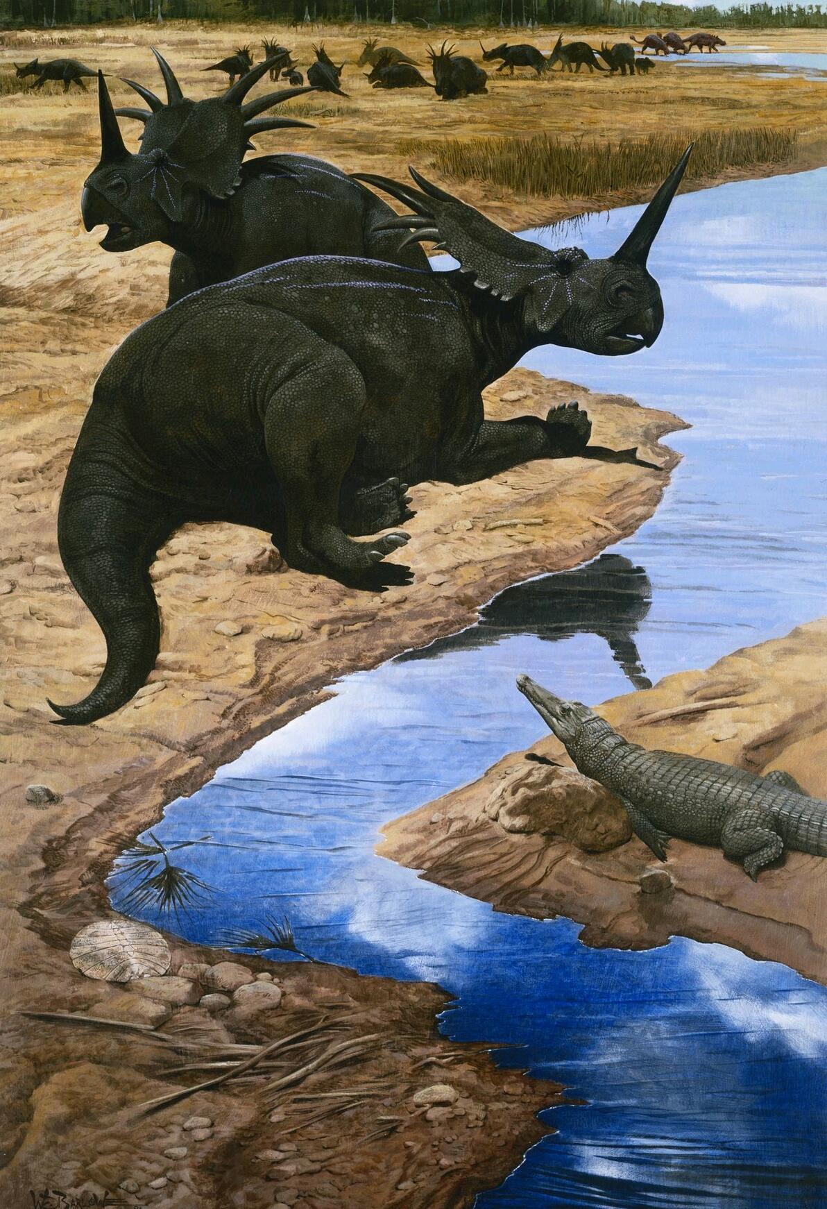 凯门鳄类小传——浅谈史前短吻鼍亚科 - 哔哩哔哩