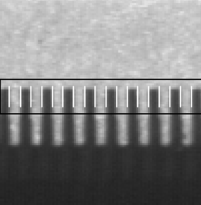 Halcon 1D测量笔记 - 哔哩哔哩