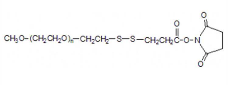 mPEG5k-dithiol，二硫代NHS官能化聚乙二醇（PEG-S-S-NHS）是一种可裂解的还原试剂 - 哔哩哔哩