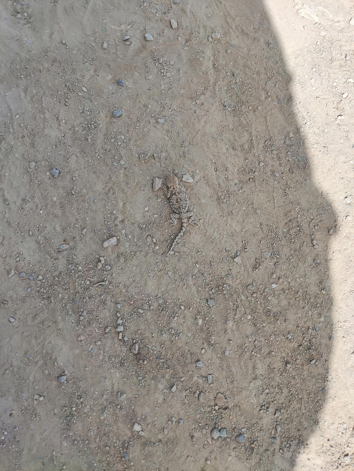 柴旦打工日记 Day10-Day21 - 哔哩哔哩