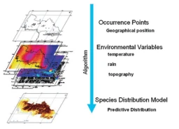 从理论到实践：BIOMOD2带你深入物种分布模拟、生物多样性保护、生态数据分析 科学制图 - 哔哩哔哩
