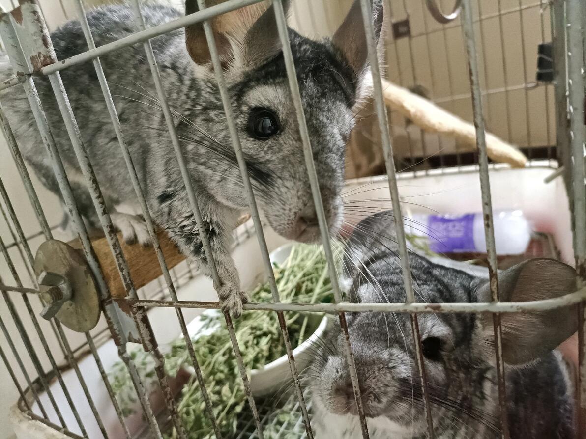 【随心而过】 假期特别快 - 哔哩哔哩