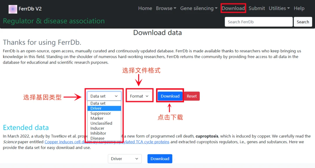 超好用的铁死亡数据库——FerrDB V2 - 哔哩哔哩