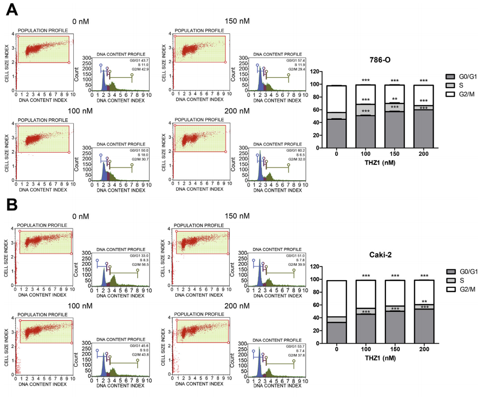 AbMole科研-THZ1通过抑制自噬增强Sirolimus诱导的细胞毒性 - 哔哩哔哩