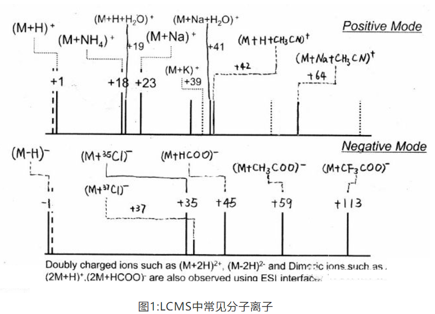 玩转质谱|4|：液质（LCMS）中常见的子离子 - 哔哩哔哩