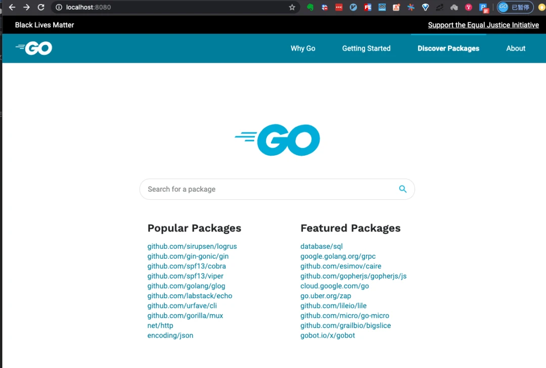 万字长文解读 pkg.go.dev 的设计和实现 - 哔哩哔哩