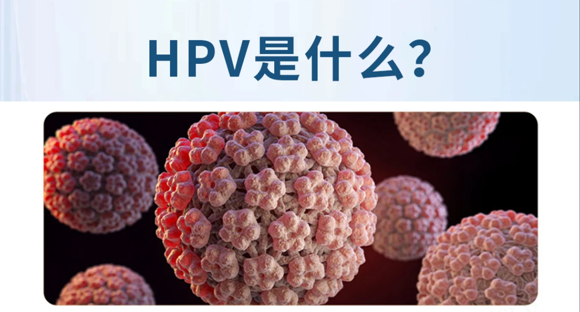 妻子hpv16阳性会传染给老公吗?若感染hpv你会怪罪对方吗? 哔哩哔哩