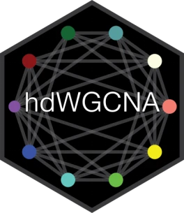 解析空间组学或单细胞hdWGCNA分析 - 哔哩哔哩