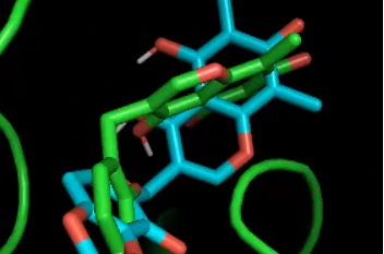 一分钟，教你用pymol计算配体的RMSD！ - 哔哩哔哩
