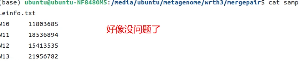 NCycDB使用流程笔记 - 哔哩哔哩