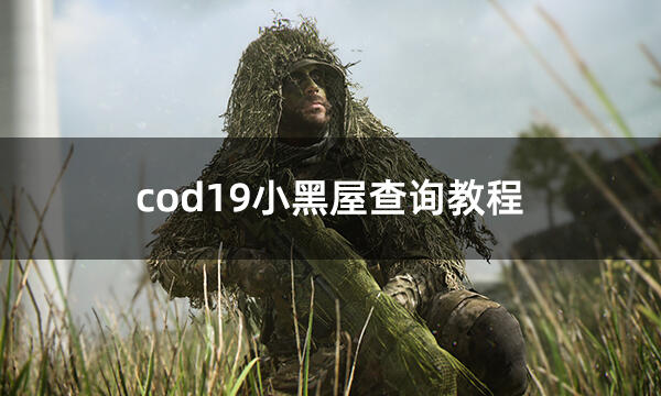cod19小黑屋查询教程 使命召唤19账号问题查询方法 - 哔哩哔哩