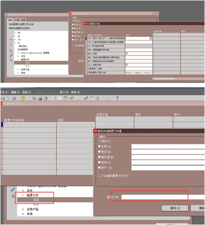 Oracle Apex学习日记:oracle Ebs启用诊断功能 哔哩哔哩 9797