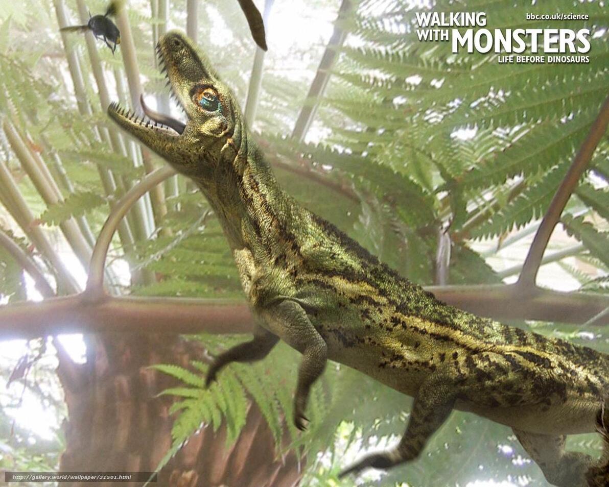 BBC《与……同行》系列物种列表 - 哔哩哔哩