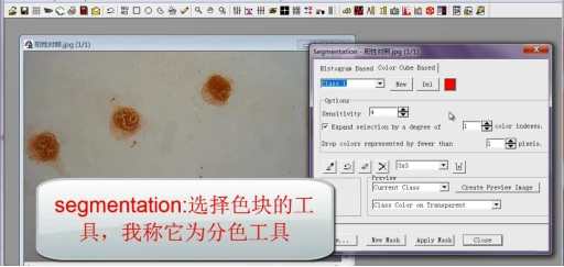 image Pro plus全技能汇总！（40个视频教程免费学习） - 哔哩哔哩