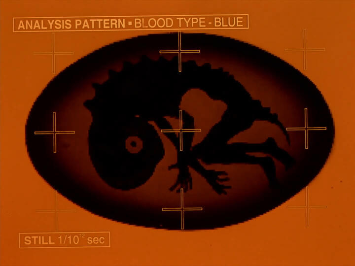 新世纪福音战士（EVA+EOE）深度解析 - 17使徒全图鉴+使徒来历&使命 - 哔哩哔哩