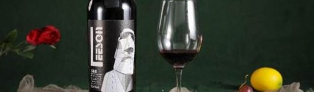 怎么喝红酒对身体最好 哔哩哔哩