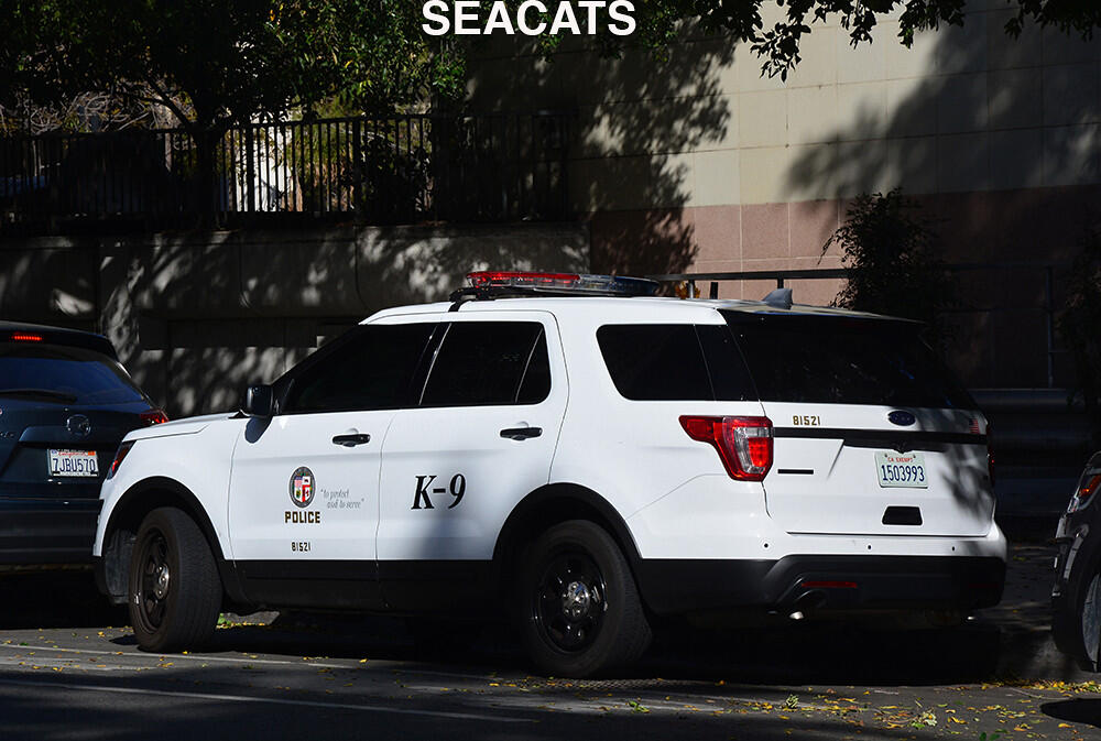 美国执法机构介绍----洛杉矶警察局（Los Angeles Police Department，LAPD）（2） - 哔哩哔哩