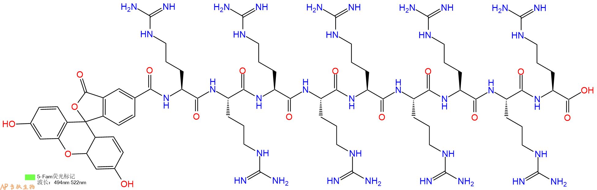 荧光标记肽(Arg)9, FAM-labeled - 哔哩哔哩