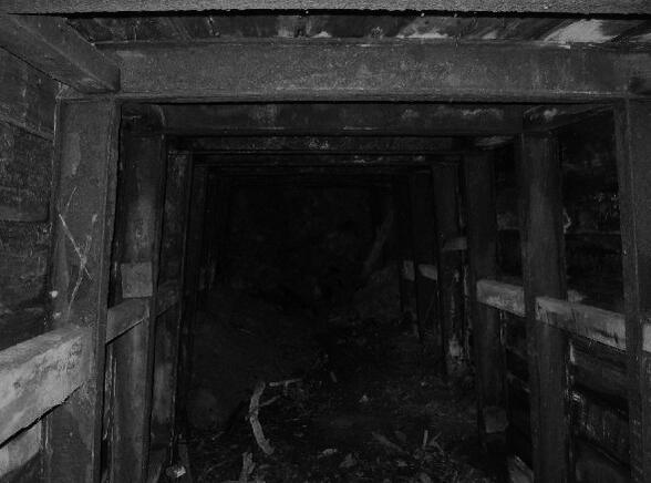 SCP-2951[一万年] - 哔哩哔哩