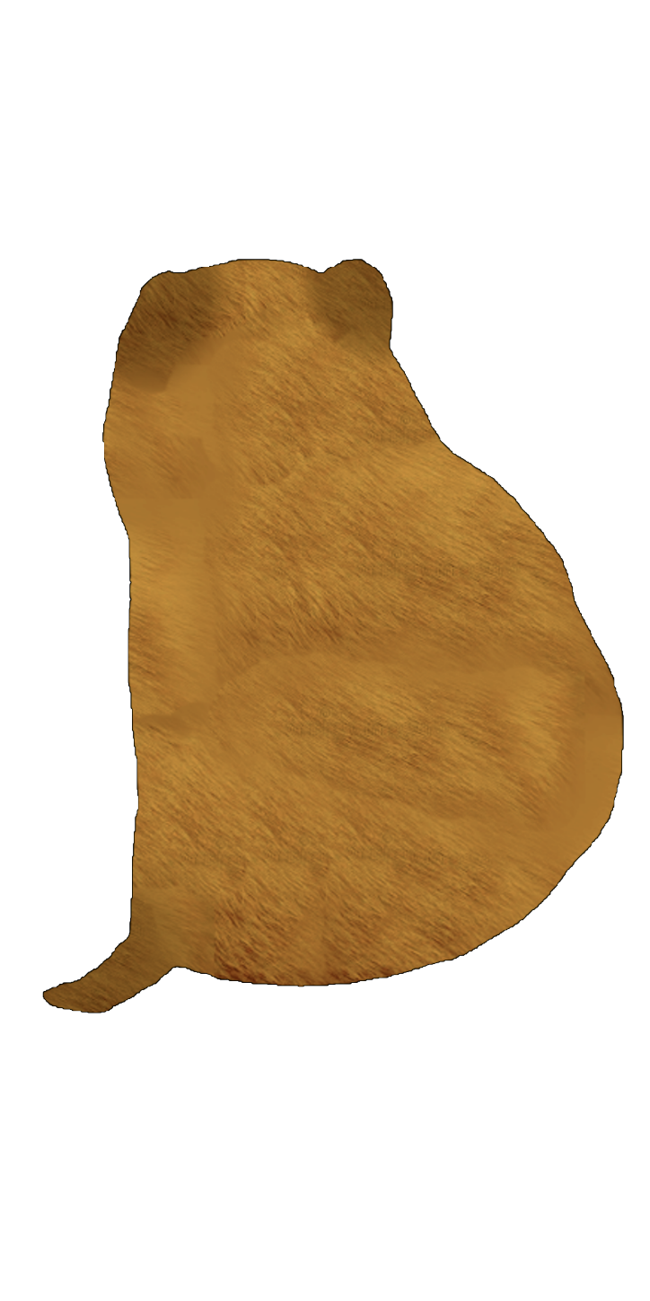 谢谢你cheems和它的伙伴【原图素材包！】 - 哔哩哔哩