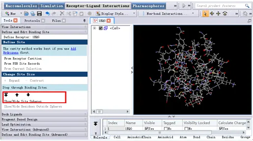 Discovery Studio官方教程-使用CDOCKER进行半柔性分子对接 - 哔哩哔哩