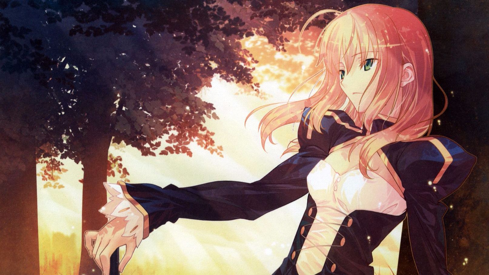 Fate/命运再临 09 - 哔哩哔哩