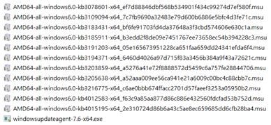 给Vista续命——WinUpdate解决方案和更新合集 - 哔哩哔哩