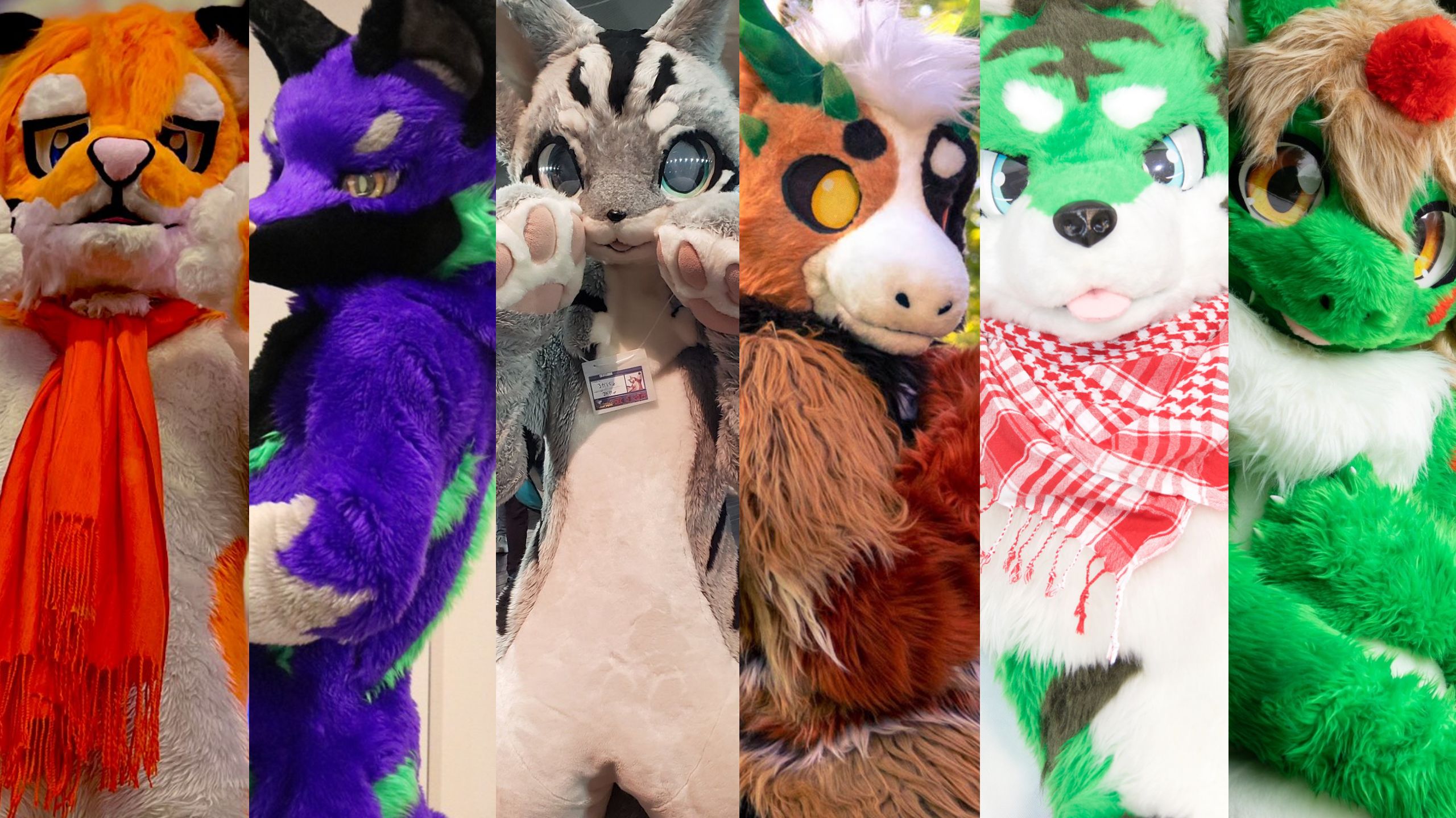 杂图系列（猛男系列：兽人furry第四十七弹）#87 - 哔哩哔哩