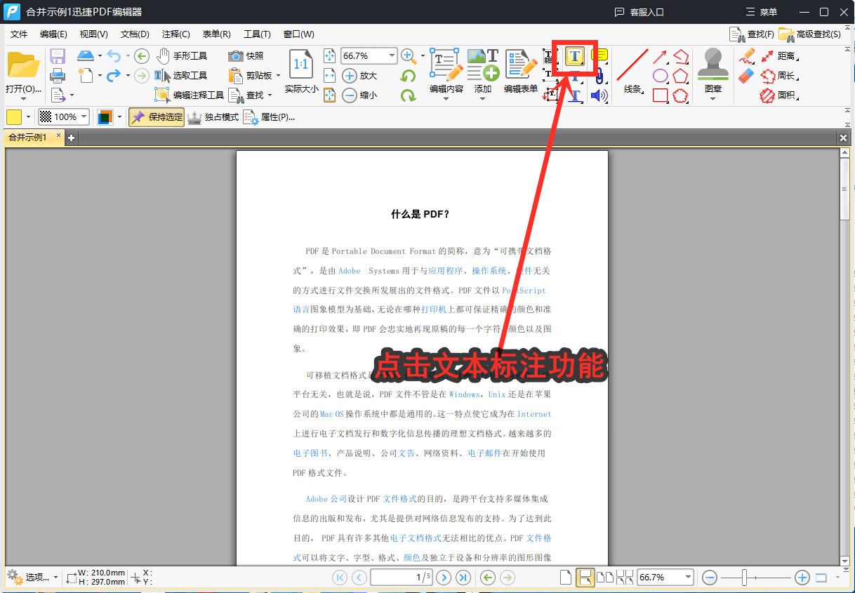 PDF 