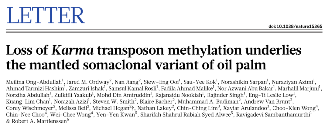 植物DNA甲基化专题 | nature：油棕Karma转座子表观遗传重要发现 - 哔哩哔哩
