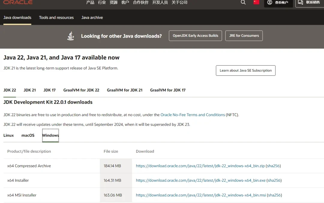 Java 最新开发工具包 JDK22 安装教程 - 哔哩哔哩