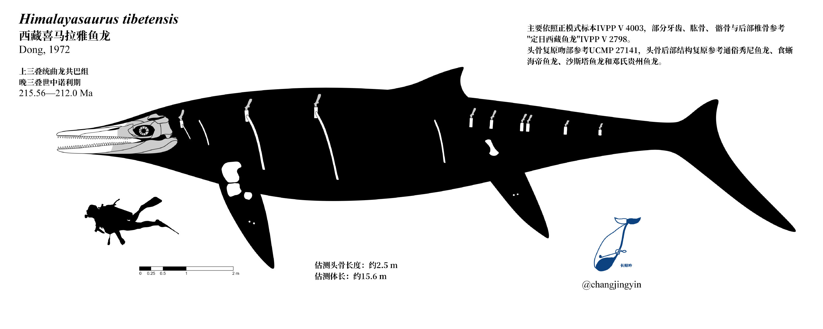 利用有限信息复原喜马拉雅鱼龙及其生态 - 哔哩哔哩