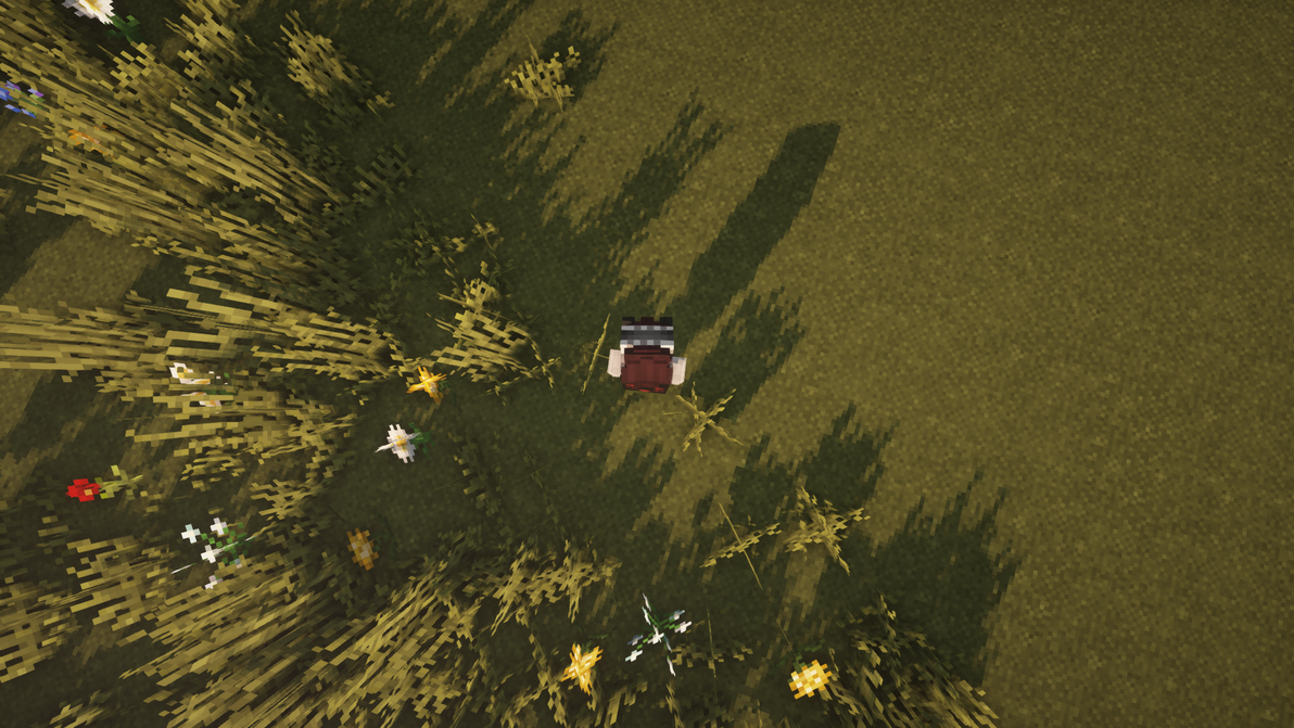 【翻译&汉化】BSL v7.2 Dev (8.0) 汉化与修改 - 哔哩哔哩