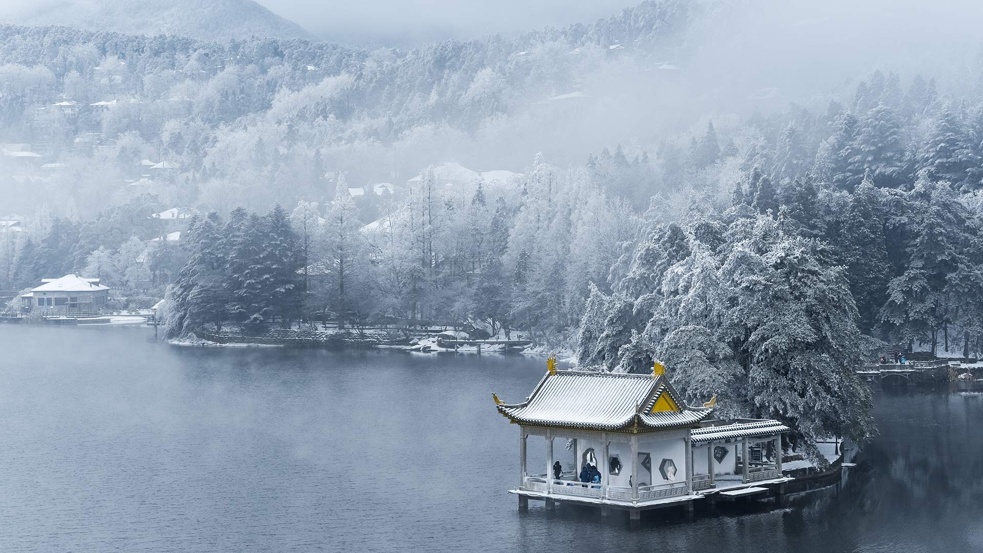 必应壁纸（Bing Wallpaper） 2022年11月7日 - 哔哩哔哩