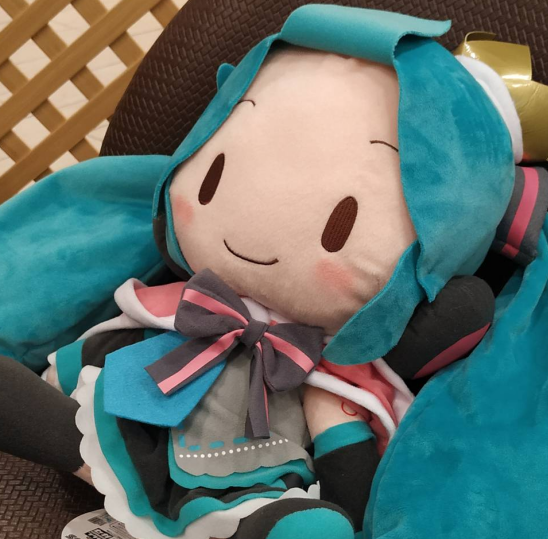 关于哈次家のFUFU成员介绍（持续更新） - 哔哩哔哩