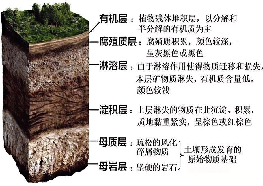 土壤“身体结构”全解读，土壤剖面用这个方法记！ - 哔哩哔哩