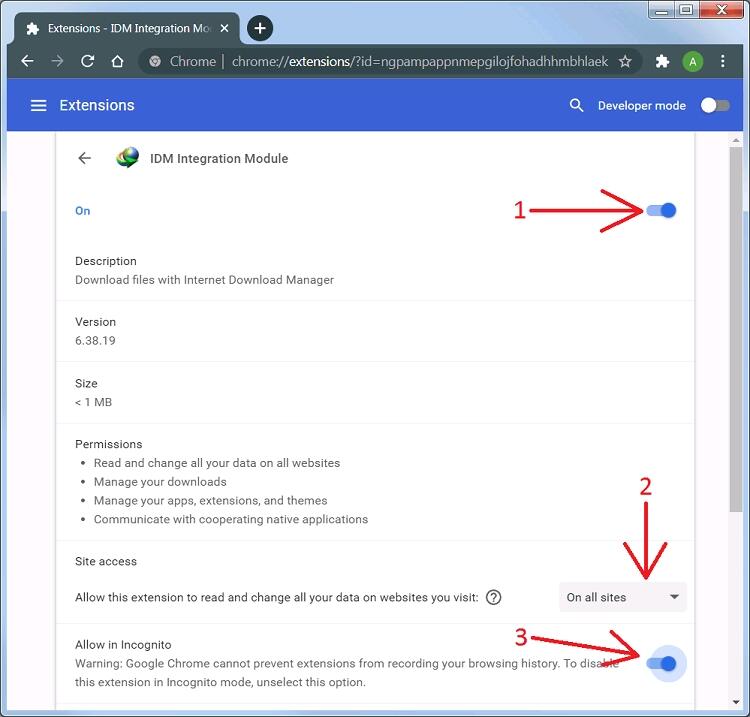 如何为 Chrome 配置 IDM 扩展？以及避免IDM插件被无故禁用 - 哔哩哔哩