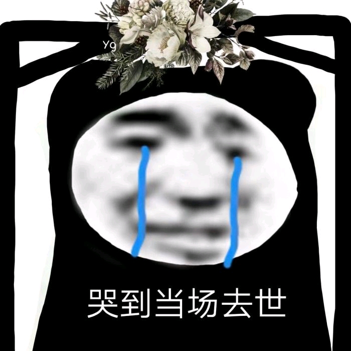 【日常系】表情包 别人的人生五颜六色 而我就有一种颜色 那就是乐色 哔哩哔哩