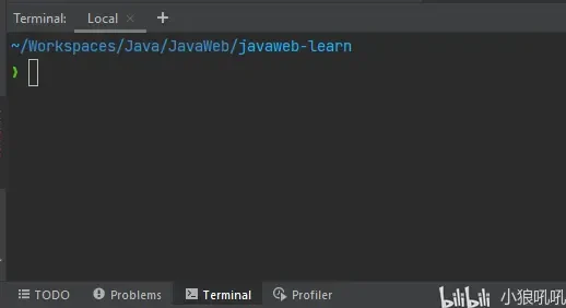 打造IDEA+wsl2的Java开发环境（zsh jdk maven） - 哔哩哔哩