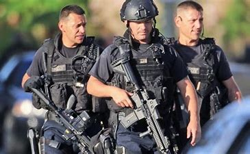 LAPD洛杉矶警察局介绍 - 哔哩哔哩