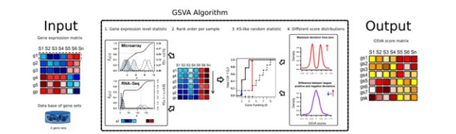 GSEA与GSVA傻傻分不清楚？一文帮你搞定!/SCI论文/科研/研究生/生信分析热点思路 - 哔哩哔哩
