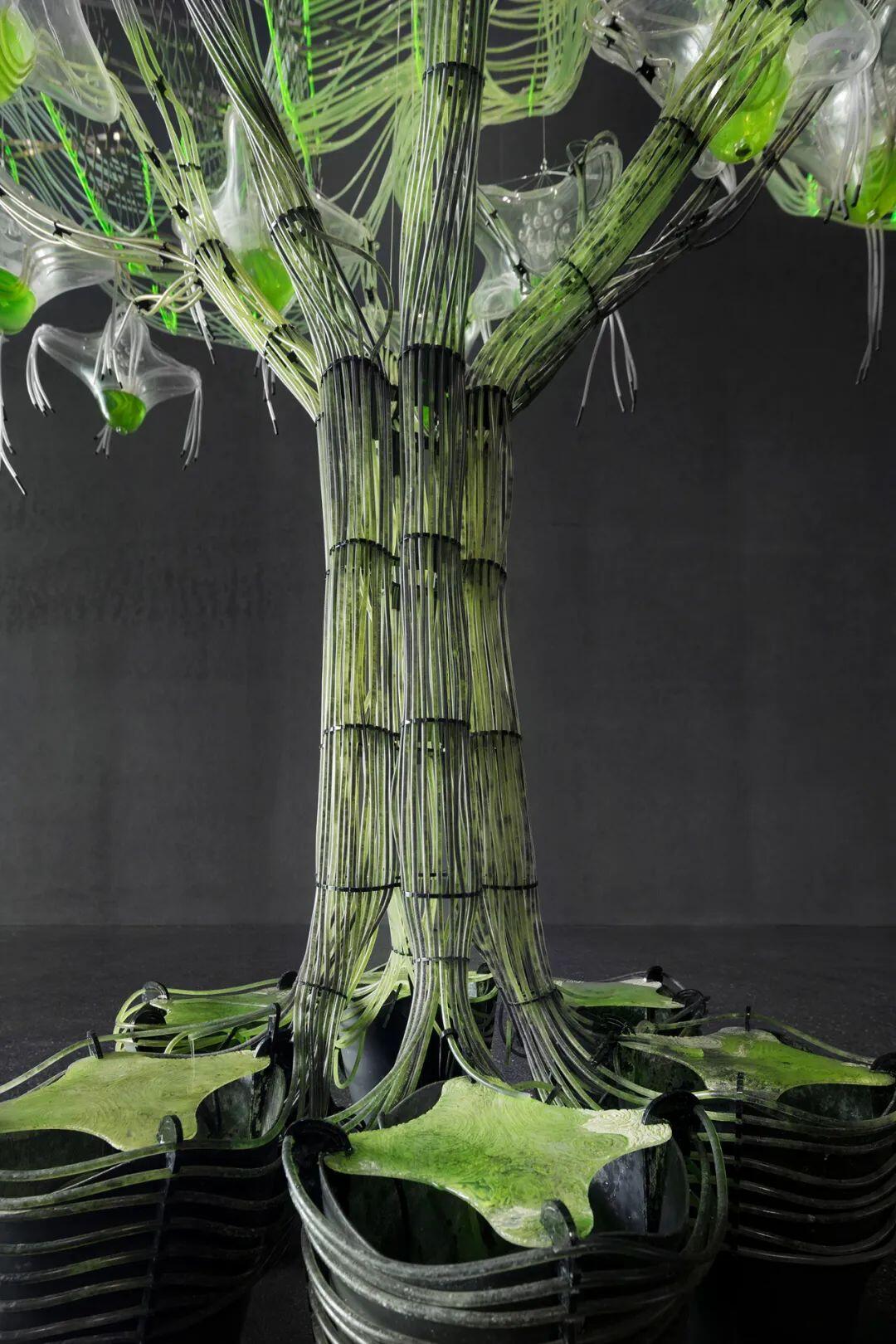 CY TALK | 生物设计科学怪人 ecoLogicStudio 如何运用藻类融入我们的生活 - 哔哩哔哩