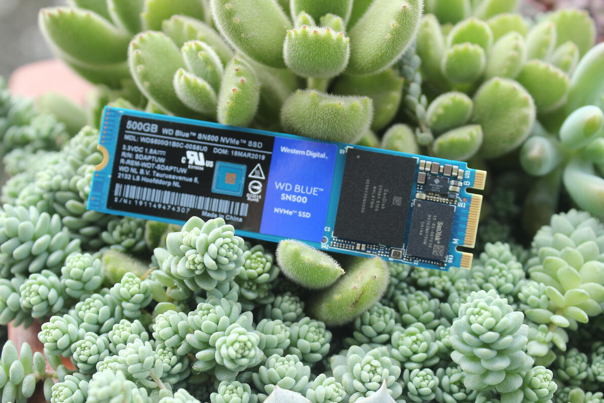 西数 Blue SN500 NVMe简评 - 哔哩哔哩