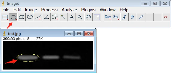 ImageJ惊艳登场！分分钟搞定WB条带灰度分析（内含免费软件包） - 哔哩哔哩