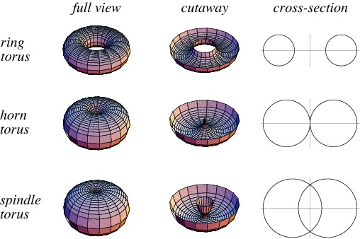 【今日数学】圆环面 Torus - 哔哩哔哩