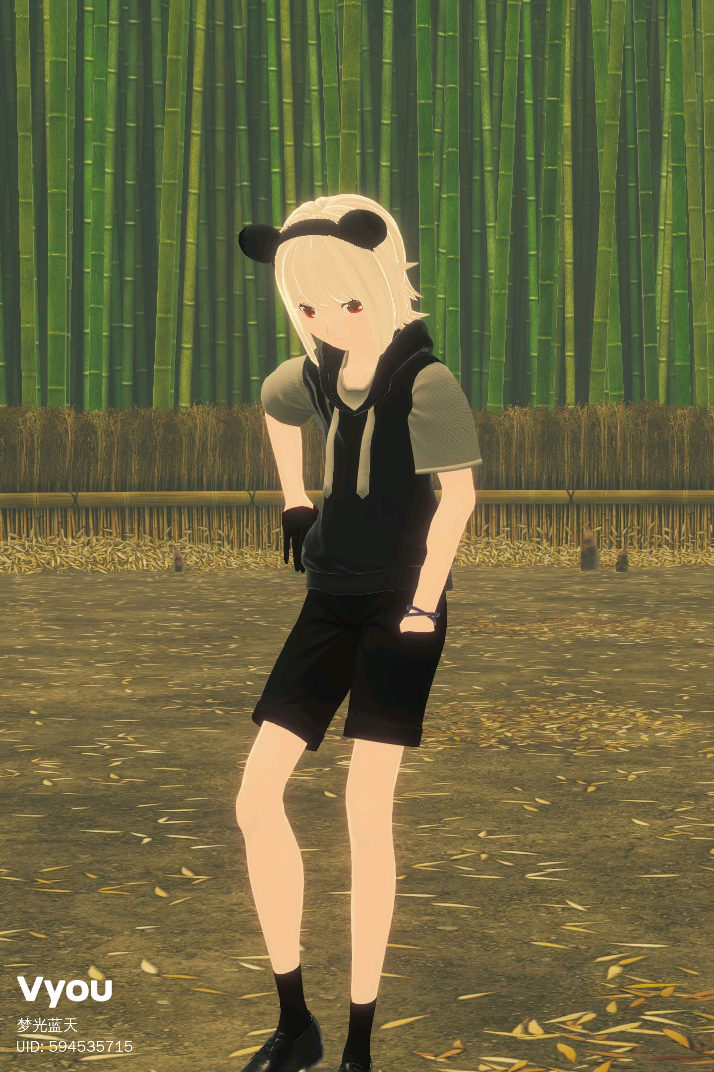 [Vyou] 我的回忆册2 (19) - 哔哩哔哩