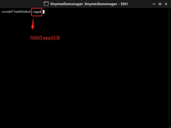 极空间配置TMM（TinyMediaManager）全自动刮削教程 - 哔哩哔哩